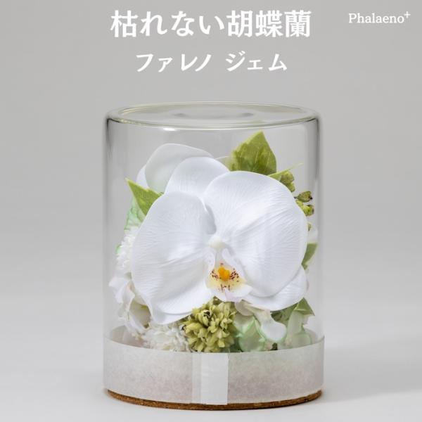 ファレノ ジェムは、清らかな白胡蝶蘭をガラスドームに閉じ込めた、小さな宝石のような高級アーティフィシャルフラワーアレンジメントです。透明感あふれるガラスとコルクベースが花の美しさを静かに引き立て、デスクや棚の上にそっと輝く癒しのインテリアに...