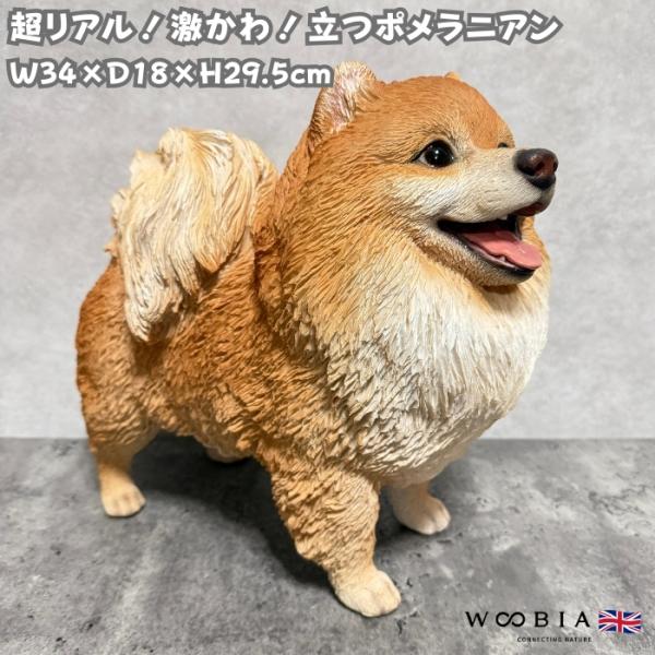 見るたび笑顔に！愛らしい笑顔のポメラニアンふんわりと立ち上がる姿に、まるで笑顔のような表情が愛らしいポメラニアンのオブジェ。高さ29.5cmのちょうど良いサイズ感で、玄関やリビングに置くだけで空間が一気に明るく華やぎます。精巧な毛並みの再現...