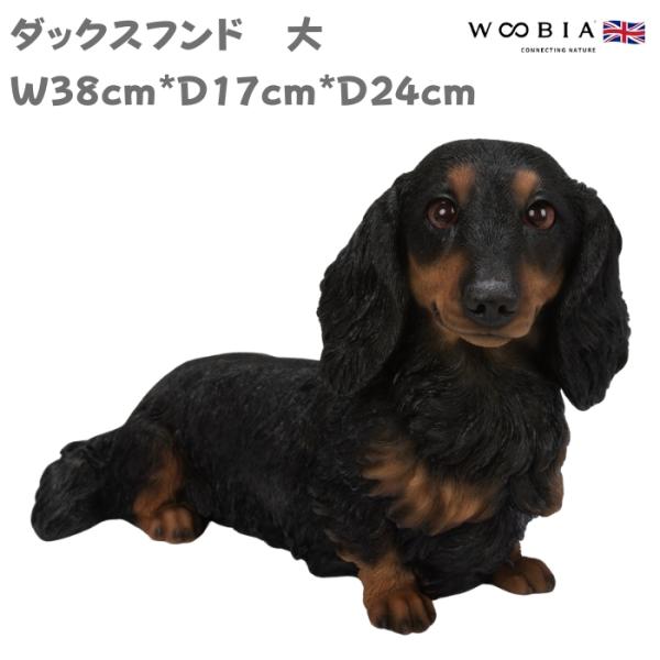 存在感抜群！大きめサイズでお部屋を彩るインテリアつぶらな瞳と短い足が愛らしい、大きめサイズのダックスフンド置物。高さ24cmで存在感がありながらも、インテリアとして飾りやすい絶妙なサイズ感です。本物そっくりのリアルな表情は、玄関やリビングを...