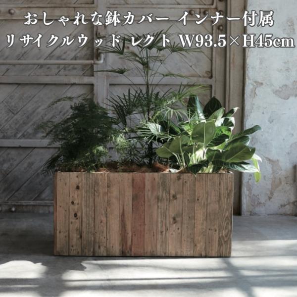 リサイクルウッド レクトは、製材時に出る節の多いパイン材をアップサイクルして作られた横長の鉢カバーです。ビンテージ感あふれる濃いブラウンの木目が、グリーンをセットすればカジュアルでリラックスできる空間を演出。幅93.5cmの横長フォルムに完...
