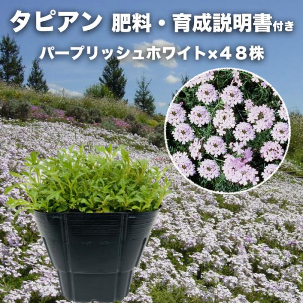 【お届けについて】こちらの商品は、納期情報に表示される日時以降にお届けの商品ですお届けご希望日は、備考欄に火曜日から日曜日の間でご希望日をご指定ください。レビュー投稿特典は「レビューご投稿後、3週間程度で発送」となります。商品到着後にぜひご...