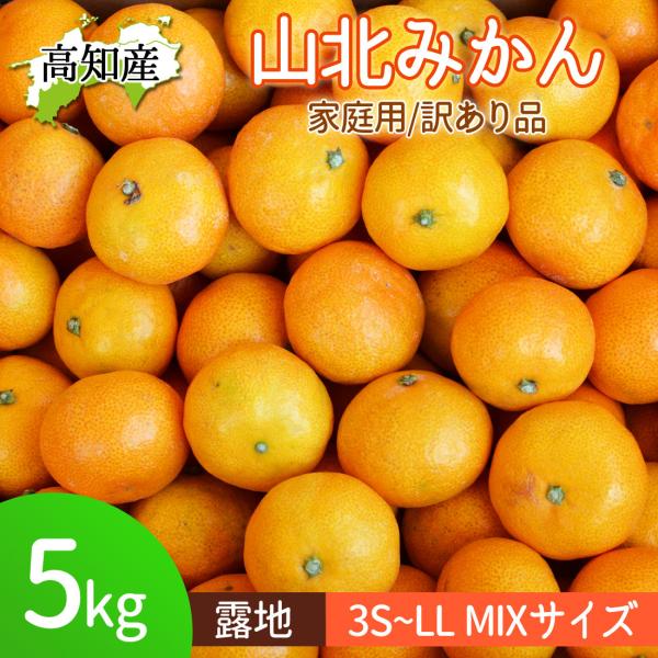 【高知を代表するブランド「山北みかん」】高知県山北地区は、陽あたりよし、土壌よし、黒潮運ぶ太平洋からの風よしと、三拍子そろったみかん生育に最適の土地で、ここ山北は1855年（安政２年）から続くみかんの一大生産地です。全国的なみかんの出荷は、...