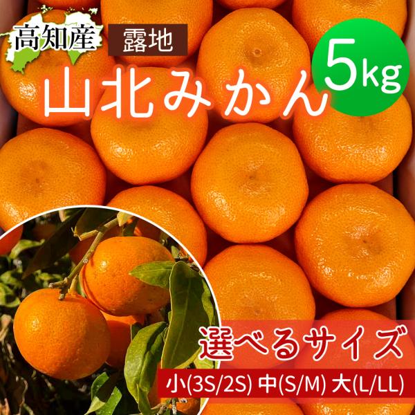 【選べるサイズ】当店では、小サイズ（3S/2S)、中サイズ（S/M)、大サイズ（L/LL)と、お好みに応じて3サイズからお選びいただけます。色々なサイズを詰め合わせた「ミックス」は、小サイズから大サイズまでサイズフリーで入っていますので、い...
