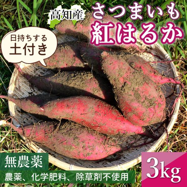 濃厚な甘みとなめらかな食感が特徴の「紅はるか」加熱するとねっとり食感になり、焼き芋や干し芋にぴったり！こだわりの無農薬栽培で育てたお芋は、皮までおいしく食べられます。長持ちするように土付きのままお届けいたします。土がついている状態での保存が...
