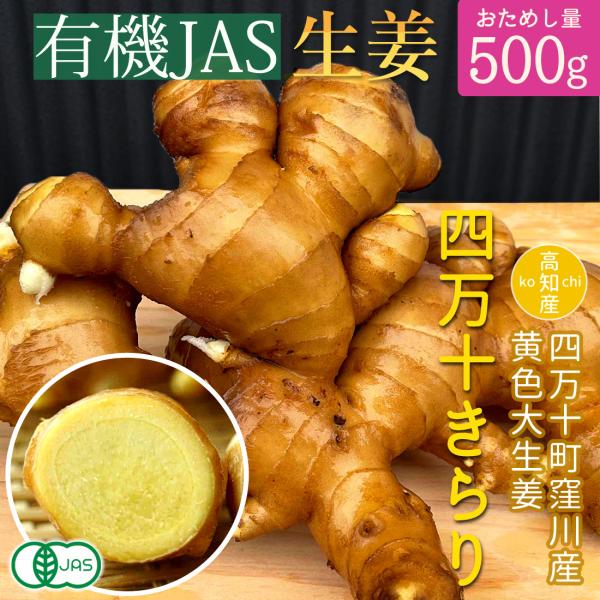 ＜黄色大生姜「四万十きらり」＞こちらの黄色大生姜「四万十きらり」は、四万十の生姜農家さんが白色の生姜栽培中に偶然発見した「黄色の濃い生姜」を、長年選抜して増やした貴重な生姜を分けてもらい、みよしファームさんが農薬や化学肥料、除草剤も使わずに...