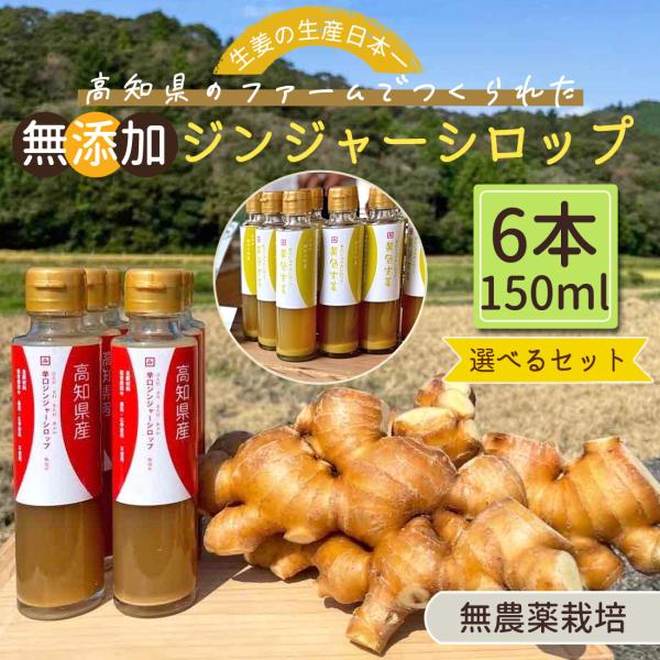 生姜の生産日本一！高知県四万十川町のファームオリジナル「ジンジャーシロップ」大生姜と有機きび糖のみを原材料とした、辛口ジンジャーシロップです！。原材料のシンプルさゆえ生姜の風味がしっかりと感じられます。生姜は発汗作用、体内浄化、冷え性の改善...