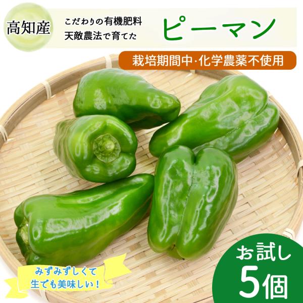 【「天敵農法」で育てたピーマン】かめのこ農園さんは、天敵「益虫」を育てて、自然の仕組みを活かした「天敵農法」によりピーマンを栽培されています。天敵とは葉や茎を食べてしまったり、病気を媒介する害虫にとっての天敵のことで、人間にとっては非常に強...