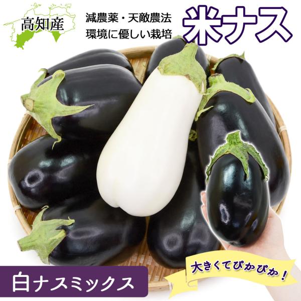 「丸武農事」さんは、エコシステム栽培「環境保全型減農薬栽培」という、タバコカスミカメ虫などに代表される天敵害虫をハウスに放すことにより、害虫駆除に使う化学農薬を減らすことに取り組んでいます。また、丸武農事さん側にも作物の栽培・収穫に専念出来...