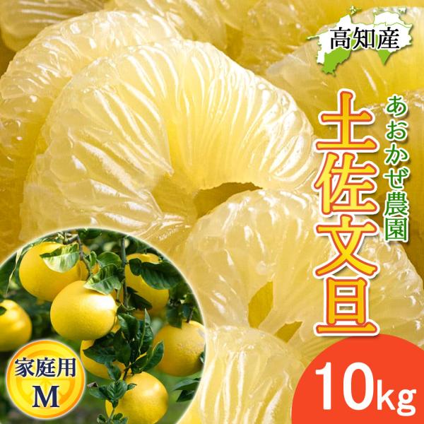 【宿毛の美味しい土佐文旦】温暖な気候と海風が適度な潮風を運び、美味しい柑橘類を育むことから、文旦の出荷日本一の高知県。「あおかぜ農園」さんの文旦は、宿毛市の宇須々木地区で、黒潮運ぶ潮風と南国土佐の太陽をいっぱい浴びながら育てられています。除...