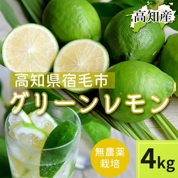 無農薬栽培で育てたレモンです。そのため見た目にはキズがありますが皮もまるごと安心して使えます。皮も捨てずにお召し上がりいただけます。発送時期によってグリーン〜黄緑〜イエローと色も変化します。 【ご案内】商品は、高知県宿毛市の果樹園さんから産...