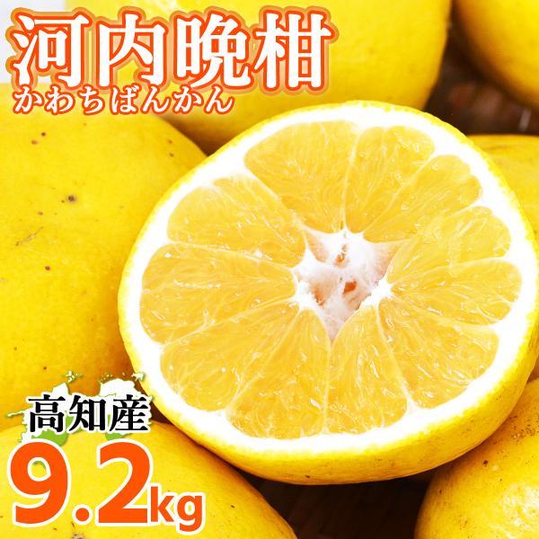 【ご案内】商品は、龍馬のふるさと高知から産地直送いたします。高知の温暖な気候で育った河内晩柑！河内晩柑といえば、四国では愛媛南予地方が有名ですが、高知県では数軒しか作っていない貴重な逸品です！高知県は日照時間が日本一で、文旦を始め、多くの美...