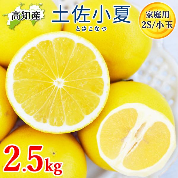 【ご案内】商品は、高知県宿毛市の柑橘農家さんから産地直送させていただきます。こちらの農家さんは、土佐文旦や小夏/夏小夏といった柑橘類の専門農家さんです。収穫したあと、酸味がほどよく抜けるまで追熟保管したものをお届けしています！ふわふわの甘皮...