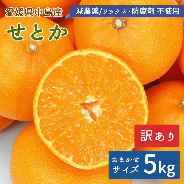 純情いちばん島育ち『せとか』『お口に広がる瀬戸内海』そんな光景が浮かぶ、ミカンづくりを目指しております。【せとかについて】ぽっちゃり大トロみかん！せとかはアンコールと清見タンゴール及びマーコットの3種を人工交配させ、それぞれの長所を引き出し...