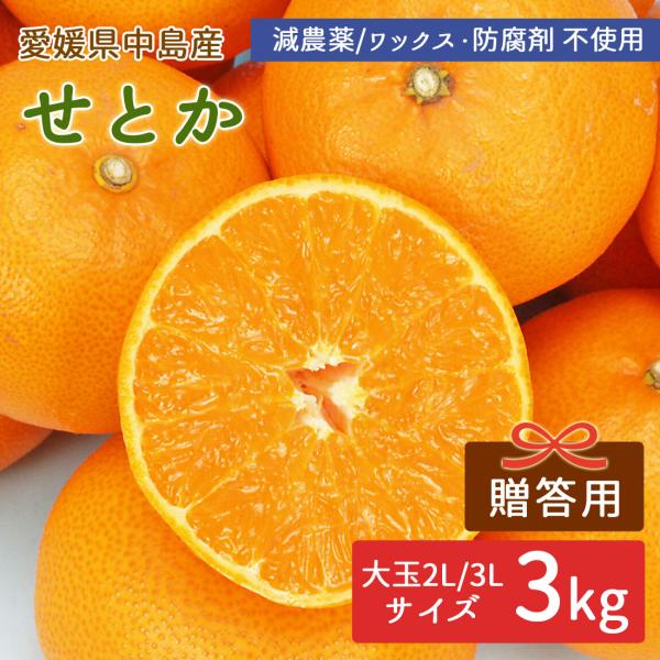 純情いちばん島育ち『せとか』『お口に広がる瀬戸内海』そんな光景が浮かぶ、ミカンづくりを目指しております。【せとかについて】ぽっちゃり大トロみかん！せとかはアンコールと清見タンゴール及びマーコットの3種を人工交配させ、それぞれの長所を引き出し...