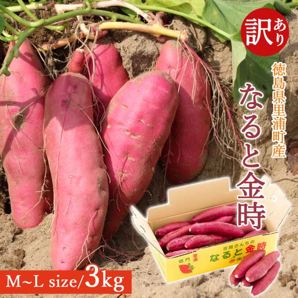 【吉岡さんちのなると金時】吉岡ファームさんの砂畑は、温暖で降雨量の少ない瀬戸内式気候の徳島県鳴門市里浦町にあります。海沿いに位置する里浦は、海のミネラルをたくさん含んだ良質な砂地に恵まれています。四国の澄んだ空気と海風、サンサンと照らす太陽...