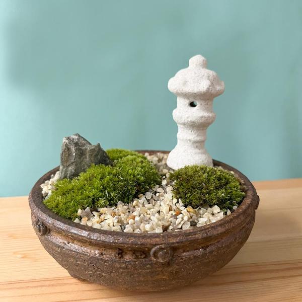 苔盆栽 春日灯篭　信楽茶丸小紋鉢セット内容 ・苔盆栽（信楽焼鉢）・・・１つ・春日灯篭（トウロウ）・・・茶または白いずれか１つ・育て方のしおりコケの種類 【ホソバオキナゴケ】シラガゴケ科 葉が短く（２〜４ｃｍ）たくさんの葉が密集して集落（かた...