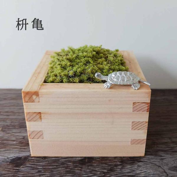 苔盆栽 枡亀セット内容 ・苔盆栽（枡）・・・１つ・亀・・・１つ・育て方のしおりコケの種類 【スナゴケ】ギボウシゴケ科 茎は立ちあがり高さは２ｃｍ前後。寒さに強く丈夫。日あたりから半日蔭を好みます。 乾燥すると葉をすぐ閉じます。乾燥に強い。蒸...