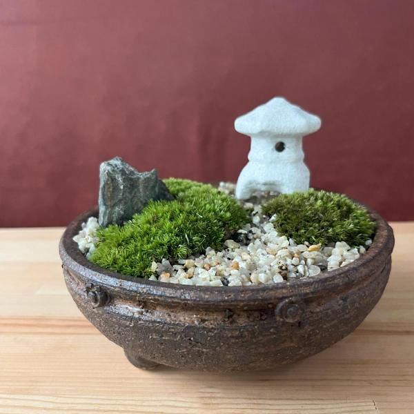 苔盆栽 三ツ足灯篭　信楽茶丸小紋鉢セット内容 ・苔盆栽（信楽焼鉢）・・・１つ・三ツ足灯篭（トウロウ）・・・茶または白いずれか１つ・育て方のしおりコケの種類 【ホソバオキナゴケ】シラガゴケ科 葉が短く（２〜４ｃｍ）たくさんの葉が密集して集落（...