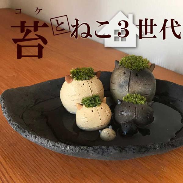 セット内容 モスネコ（白・ベージュ系）（黒・グレー系）…各１つ計2匹子ネコ（白・ベージュ系）（黒・グレー系）…各１つ 計2匹チビネコ（白・ベージュ系）（黒・グレー系）…各１つ 計2匹受け皿（炭化焼締器）・・・1枚育て方のしおり温度 ０〜３０...