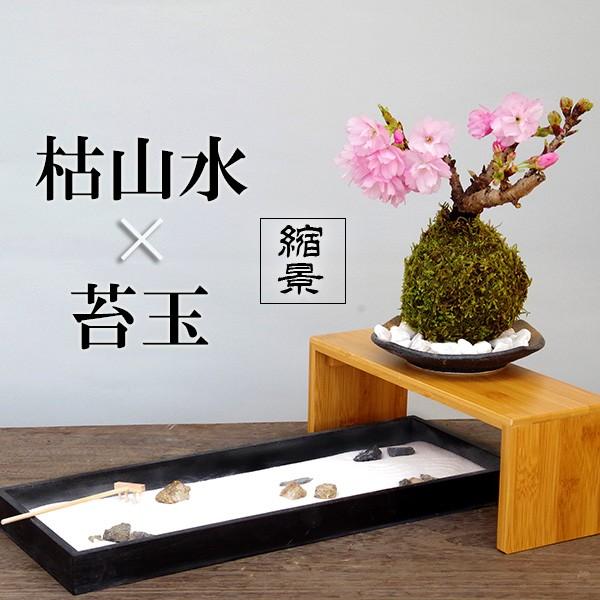 ●セット内容 【枯山水（龍安寺）】・トレイ・・・1枚・砂・・・1袋・レーキ（熊手）・・・１つ・石（硅石）・・・１５個・取扱説明書（日本語版／英語版））【旭山桜苔玉・器セット】・桜（旭山桜）苔玉・・・１つ・器（黒備前小）・・・1枚・敷石（白石...