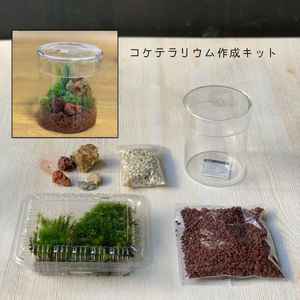 おうちで苔テラリウムを作ってみませんか？作り方のしおりもついているので初めての方でもできます！フタつきの丸ガラス容器のキットです。