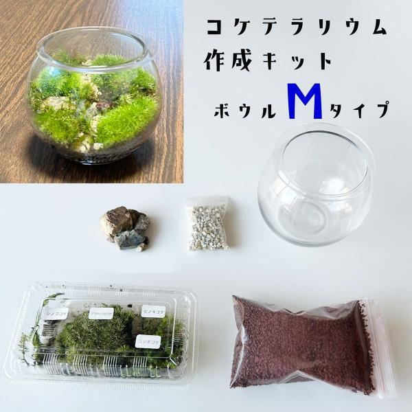 コケテラリウム作成キットは、誰でも簡単に美しいテラリウムを作成できるように設計されています。このキットには、フタつきのボウルと、詳細な作り方の説明書が含まれており、初心者でも安心して取り組むことができます。さらに、育て方のガイドも付属してお...