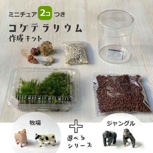 おうちで苔テラリウムを作ってみませんか？作り方のしおりもついているので初めての方でもできます！フタつきの丸ガラス容器のキットです。