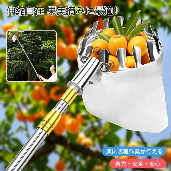 付属品：予備用布袋、鎌の刃、チャンチン採取用フック使い方：袋口を上にして、2本の歯の真ん中に果物の茎を入れ、棒を強く引っ張ると、果物が果物摘みの袋に落ちます。関連キーワード(商品の説明ではありません)：フルーツピッカー 果物取り 高枝切りば...