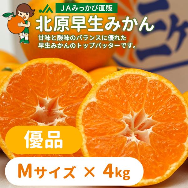 北原早生とは、福岡県内で発見された「原口早生」の枝変わり品種。早生みかんの中でも最初に収穫が始まる品種です。しっかりとした甘味とコクに柔らかい酸味が重なった、バランスのよい味わいが特長です。販売受付：9/18〜10/27頃まで発送：10/2...