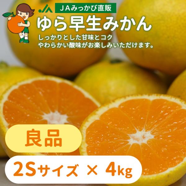 ゆら早生とは、和歌山県日高郡由良町で発見された「宮川早生」の枝変わり品種。10月頃から収穫できる極早生みかんの中でも特に甘味とコクが強い品種です。販売受付：9/18〜10/22頃まで発送：10/20頃〜10/29頃まで入荷次第順次発送予定※...