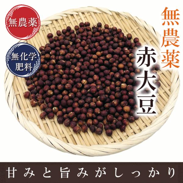 甘みと旨みが詰まった赤大豆赤大豆は、しっかりとした甘みと旨みが魅力。豆ご飯やビーンズサラダに加えると、彩り豊かで食卓を華やかにしてくれます。蒸し豆にすれば、そのままでも美味しく、赤大豆ならではの濃い味わいが楽しめます。農薬や化学肥料を使用し...