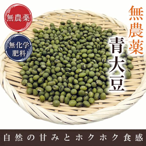 風味豊かで甘みの強い青大豆大粒でしっかりとした旨みが特長の青大豆。甘みも強く、豆ご飯や豆乳にすると彩りも美しく仕上がります。お味噌にすると、深みのあるコクと香りが際立ち、格別な美味しさに。料理の幅が広がる、風味豊かな青大豆です。農薬や化学肥...