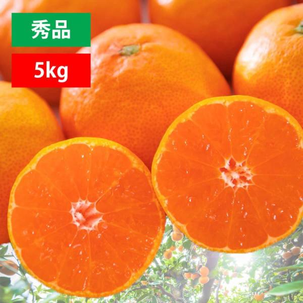 愛媛県内でも屈指のブランド産地である西宇和地区八幡浜市産のみかんです。濃い甘さとかすかな酸味の絶妙なバランス。ひとつ、またひとつと手が伸びてしまう美味しさです。中の皮も薄くひっかからず食べやすいため小さなお子様からご高齢の方まで幅広い年齢層...