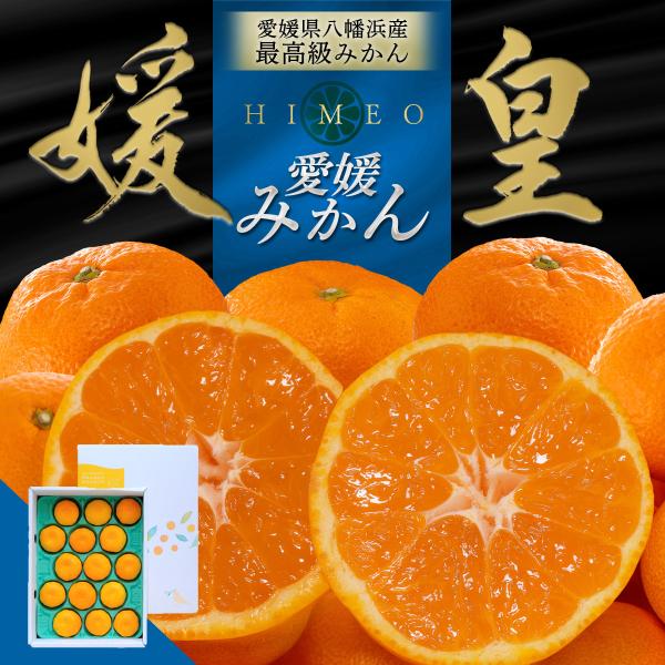 愛媛・西宇和が誇る、最高級ブランドみかん「媛皇」。柑橘王国・愛媛県の中でも、日本有数のみかん産地として知られる八幡浜市・西宇和地区。リアス式海岸の段々畑で、たっぷりの太陽の光、宇和海からの反射光、水はけの良い土壌に育まれ、甘み豊かなみかんが...