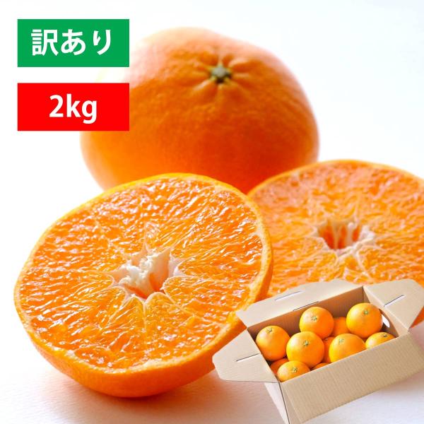 【発売日：2026年02月10日】愛媛県内でも屈指のブランド産地である西宇和地区八幡浜市産の「甘平（かんぺい）」です。甘平は愛媛で生まれたオリジナルの品種。愛媛でしか栽培することができない希少な柑橘です。味が濃く、シャキッとした歯触りが特徴...