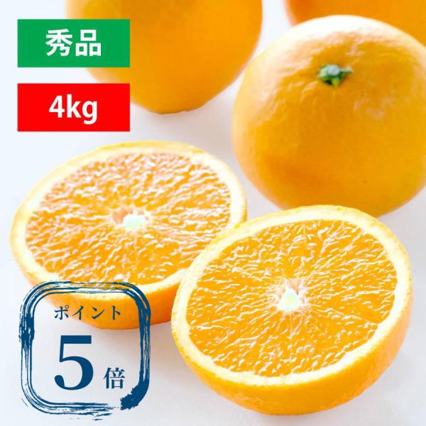 【発売日：2026年03月23日】愛媛県内でも屈指のブランド産地である西宇和地区八幡浜市産の「清見」です。清見は、温州みかんとトロビタオレンジを掛け合わせてできた品種で、まさにみかんとオレンジの良いとこ取り！柔らかくとろ〜りとした果肉からは...