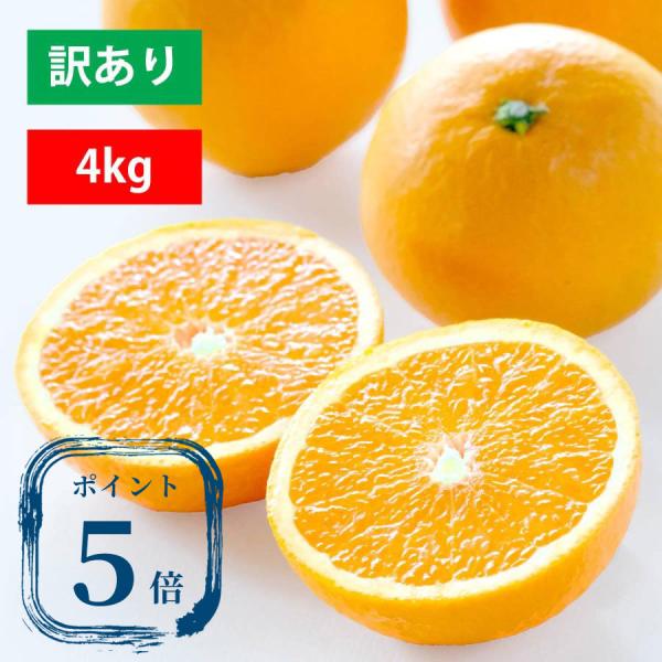【発売日：2026年03月23日】こちらのみかんは清見タンゴールという品種です。清見タンゴールは、愛媛みかんの王道である「温州みかん」とトロビタオレンジとの掛け合わせで生まれた品種になります。清見はデコポンとして有名な不知火や、当店でも大人...