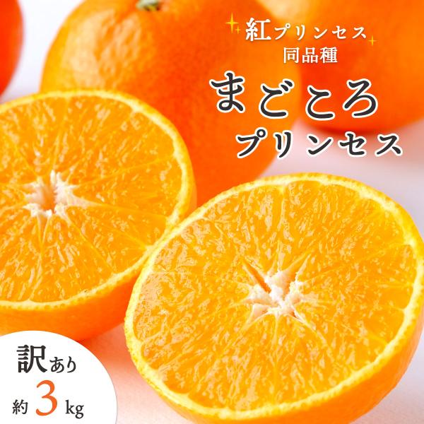＼ついに登場！／まどんな×甘平愛媛県オリジナル品種「愛媛果試48号」数量限定入荷です！冬の大人気かんきつ「まどんな（愛媛果試28号）」と「甘平」からうまれた「紅プリンセス」と同品種の希少なかんきつ。愛媛県でしか栽培することのできない、まだま...