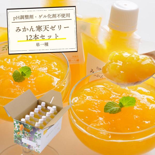 【商品説明】・寒天ゼリー12本セットです。・愛媛県の中でも屈指のみかん、柑橘の産地である八幡浜産の柑橘を使用・ゲル化剤、pH調整剤不使用・無着色、無香料・御中元、内祝い、誕生日、プチギフト、お供え、手土産など、　様々なシーンでのギフト・贈り...