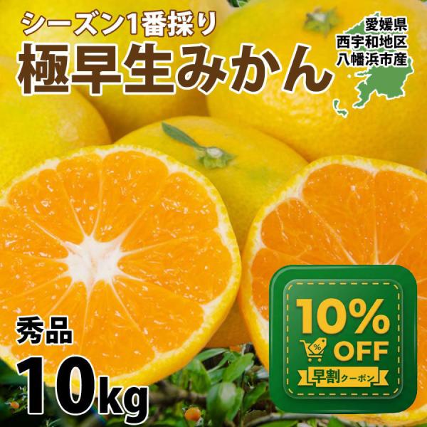 ■早割10％OFFクーポン！酸味のあるみかんがお好きな方すっぱいみかんが食べたい方いちはやくみかんを食べたい方におすすめ！10月から楽しめる本場の愛媛みかん愛媛県八幡浜市産の「極早生」をお届けします。当店の極早生みかんは日南1号という品種で...