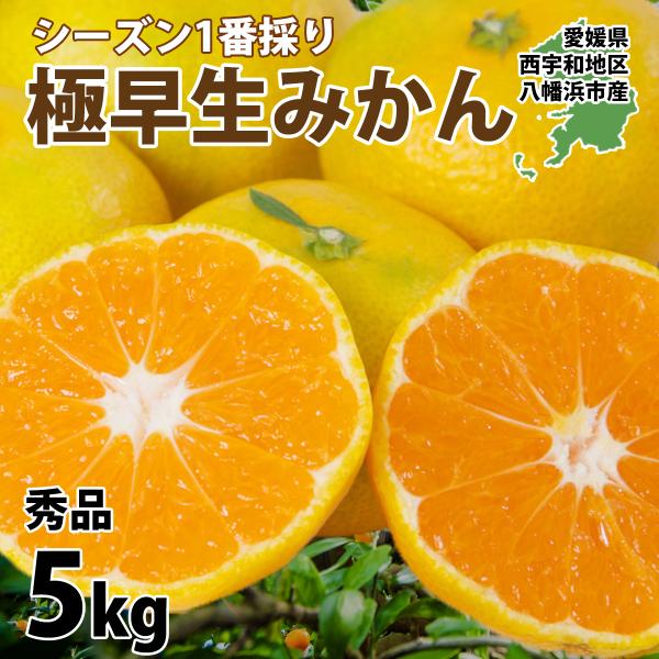 酸味のあるみかんがお好きな方すっぱいみかんが食べたい方いちはやくみかんを食べたい方におすすめ！10月から楽しめる本場の愛媛みかん愛媛県八幡浜市産の「極早生」をお届けします。当店の極早生みかんは日南1号という品種で10月から収穫される早穫りの...