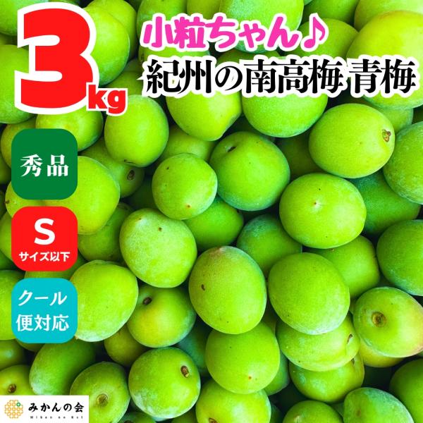 【発売日：2026年06月05日】●商品詳細こちらの商品は青梅です。Ｓサイズ以下の小粒規格商品です。品質保全のためクール便で発送します●注意事項生鮮品の為運送中の衝撃や温度帯の変化等で商品が傷む場合がございます。品質に問題がございましたらご...
