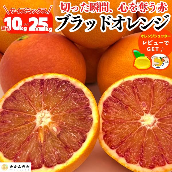 【発売日：2027年02月01日】●商品説明秀優品ですので果皮にシミ・傷・黒点が着いた果実が混ざります。サイズミックスの為大小様々な大きさの果実が入っています。「レビューを書く」をお選びいただくと便利な皮むき器をプレゼントいたします♪※任意...