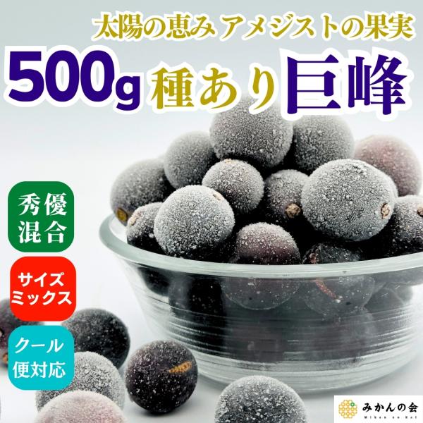 【発売日：2025年04月01日】●商品詳細こちらの商品は種あり巨峰を冷凍させたものです。●注意事項皮ごと召し上がれますが種に気を付けてください。少し溶けた頃が食べ頃。為運送中の衝撃や温度帯の変化等で商品が傷む場合がございます。品質に問題が...