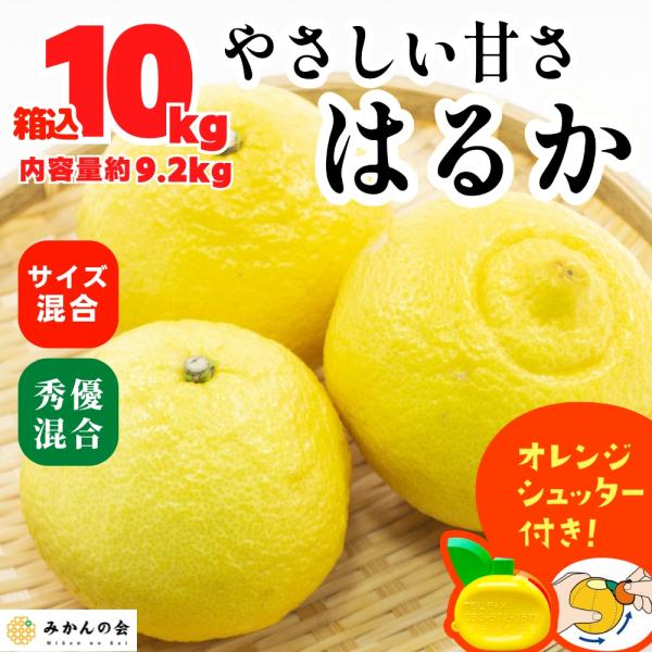 【発売日：2026年01月20日】●商品説明秀優品ですので果皮にシミ・傷・黒点が着いた果実が混ざります。サイズミックスの為大小様々な大きさの果実が入っています。●注意事項生鮮品の為運送中の衝撃や温度帯の変化、お荷物の受け取りの遅れ等で商品が...