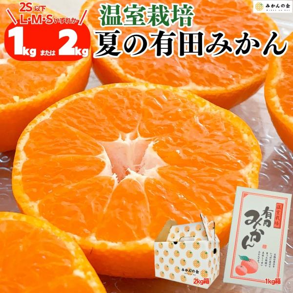 【発売日：2026年05月14日】●商品詳細 和歌山県産有田の温室栽培ハウスみかんです。S/M/Lサイズのいずれかか2Sサイズ以下よりお選びください。サイズは画像でご確認ください●注意事項 。生鮮品のため輸送中の衝撃や温度変化により傷みが生...