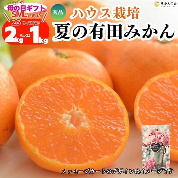 【発売日：2026年05月05日】●商品詳細 温室栽培のみかんです。S/M/Lサイズのいずれか/2Sサイズ以下よりお選びください。※写真はイメージです。カーネーションはついていません。包材等一部変更する場合がございます。●注意事項 。サイズ...