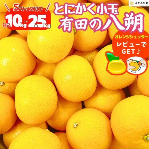 【発売日：2026年02月15日】●商品説明和歌山県産の小玉(S以下)の八朔です。追熟を行うので、ヘタが茶色く変色したり外れてしまう事があります。追熟中乾燥から実を守る天然のワックス成分が分泌され、果皮がややべとつくことがありますが食味には...
