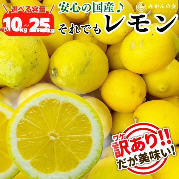 【発売日：2026年04月30日】●商品詳細和歌山県産の国産レモンです。訳あり規格の商品で、果皮のキズ・黒点・形の不揃いなどが含まれますが、食味には問題ございません。サイズミックスの商品となっており、大小の比率により玉数は異なります。●注意...