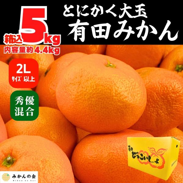 【発売日：2025年11月15日】●商品詳細秀優品混合の大玉みかん商品 実が大きく果汁たっぷり ずっしりとした果実は食べ応え抜群！●注意事項大玉規格 2Lサイズ以上のみかんが詰まっています 生鮮品の為運送中の衝撃や温度帯の変化等で商品が傷む...